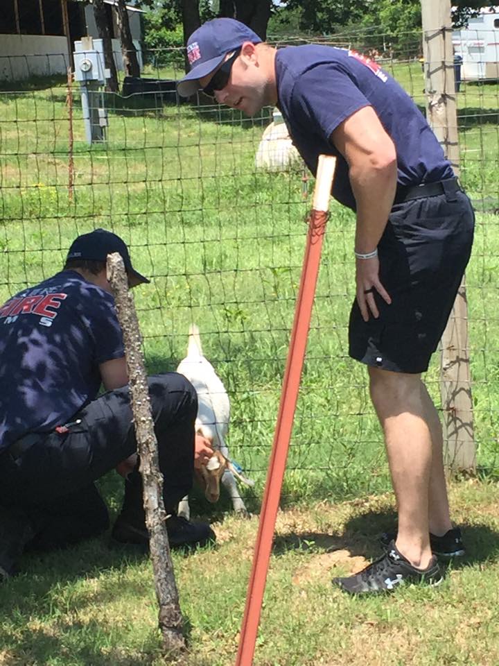 Goat rescue 911; Guthrie firefighters to the unusual rescue – Guthrie ...