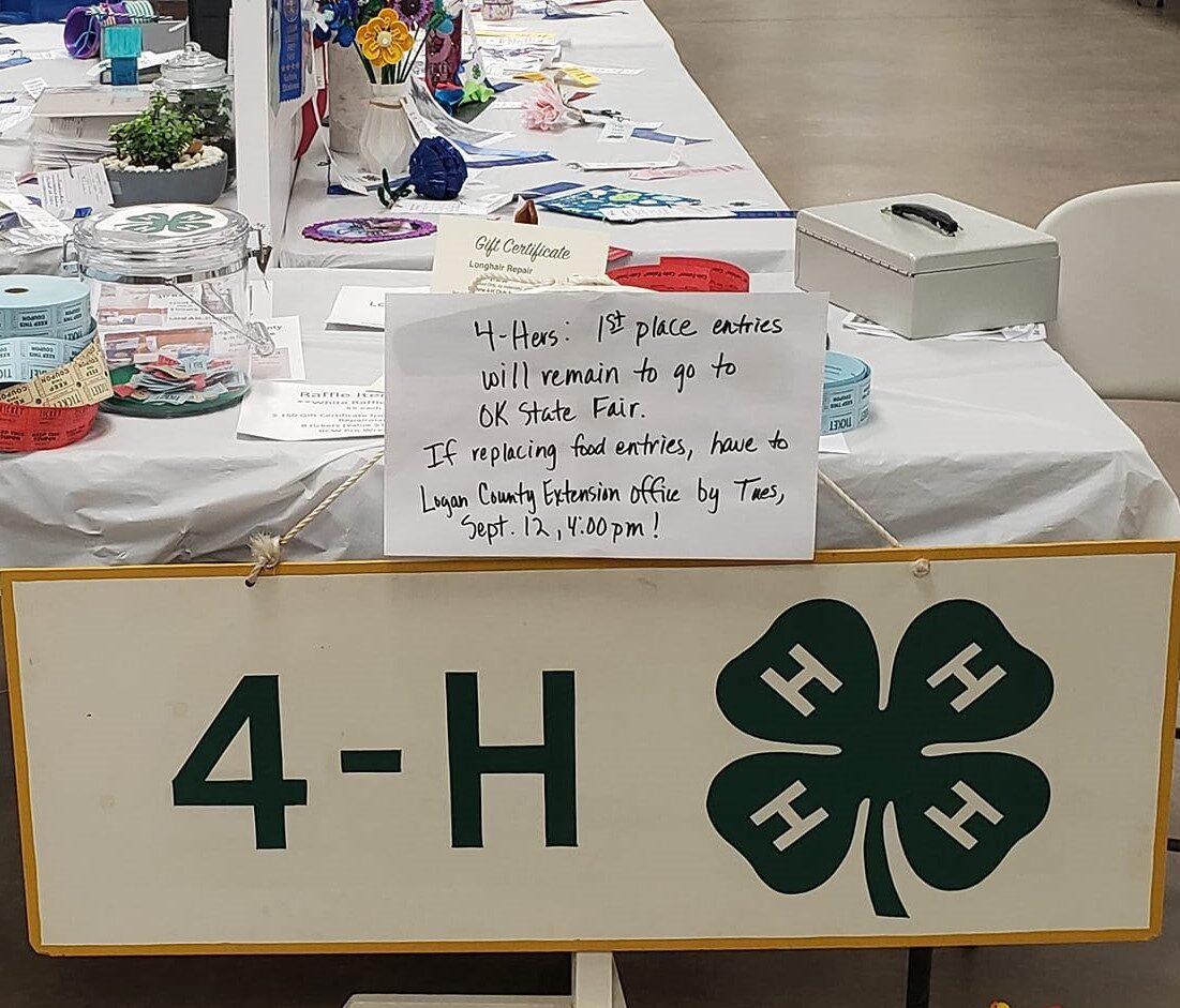 2023 Logan County Free Fair 4-H, FFA exhibit winners – Guthrie News Page