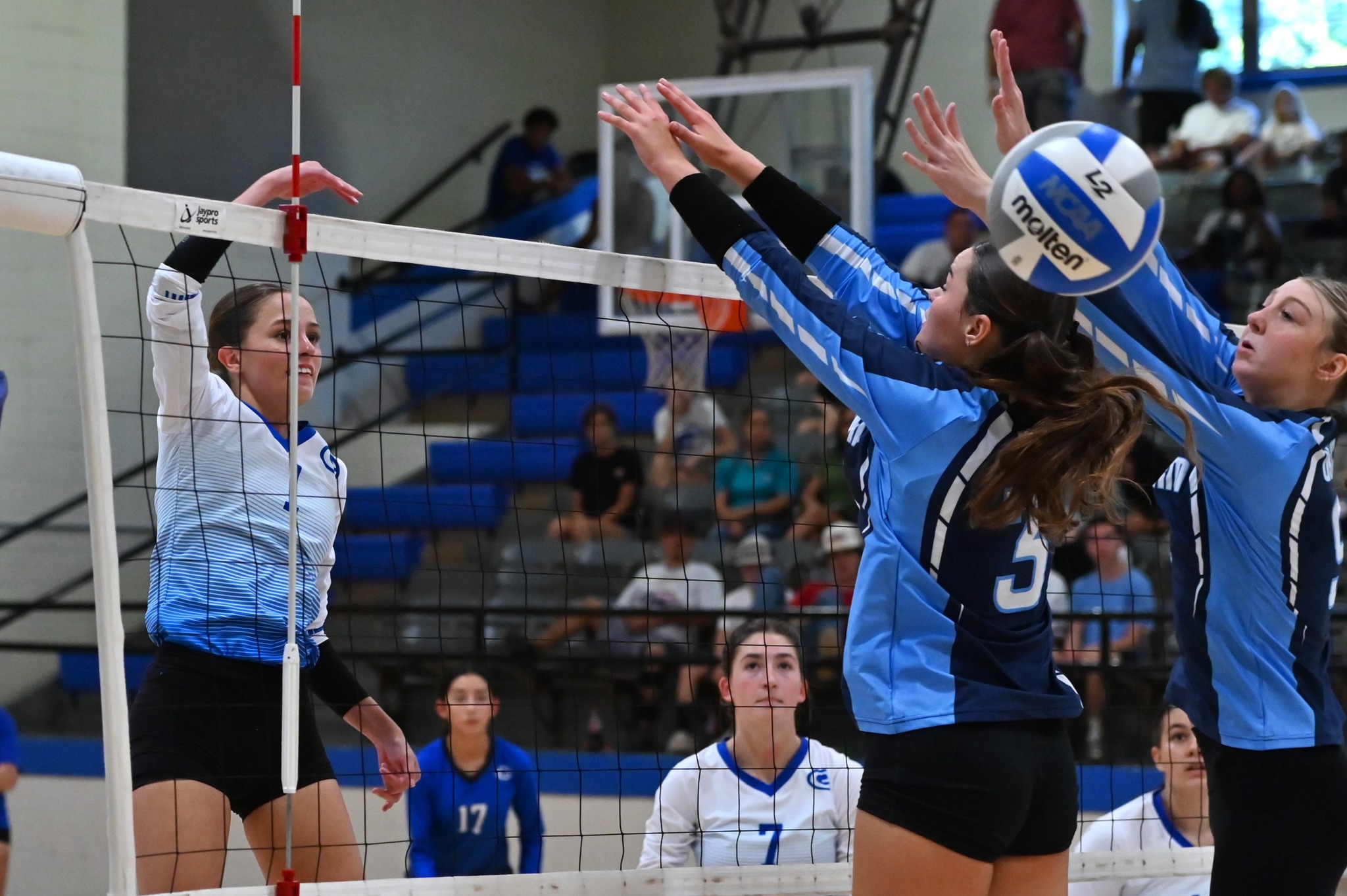 Guthrie Volleyball program shows growth in second season – Guthrie News ...